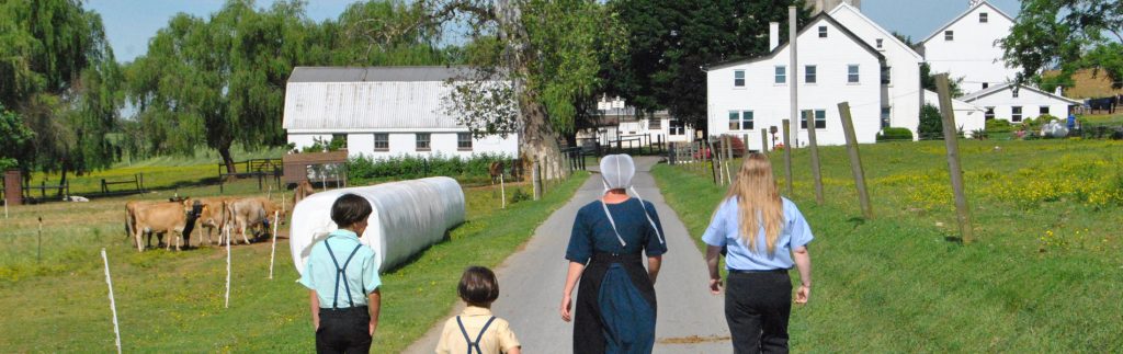 VIP Tour for 2021 | The Amish Experience