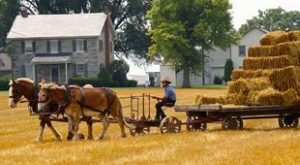 The Amish Experience | at Plain & Fancy Farm.