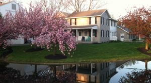 The Amish Experience | at Plain & Fancy Farm.